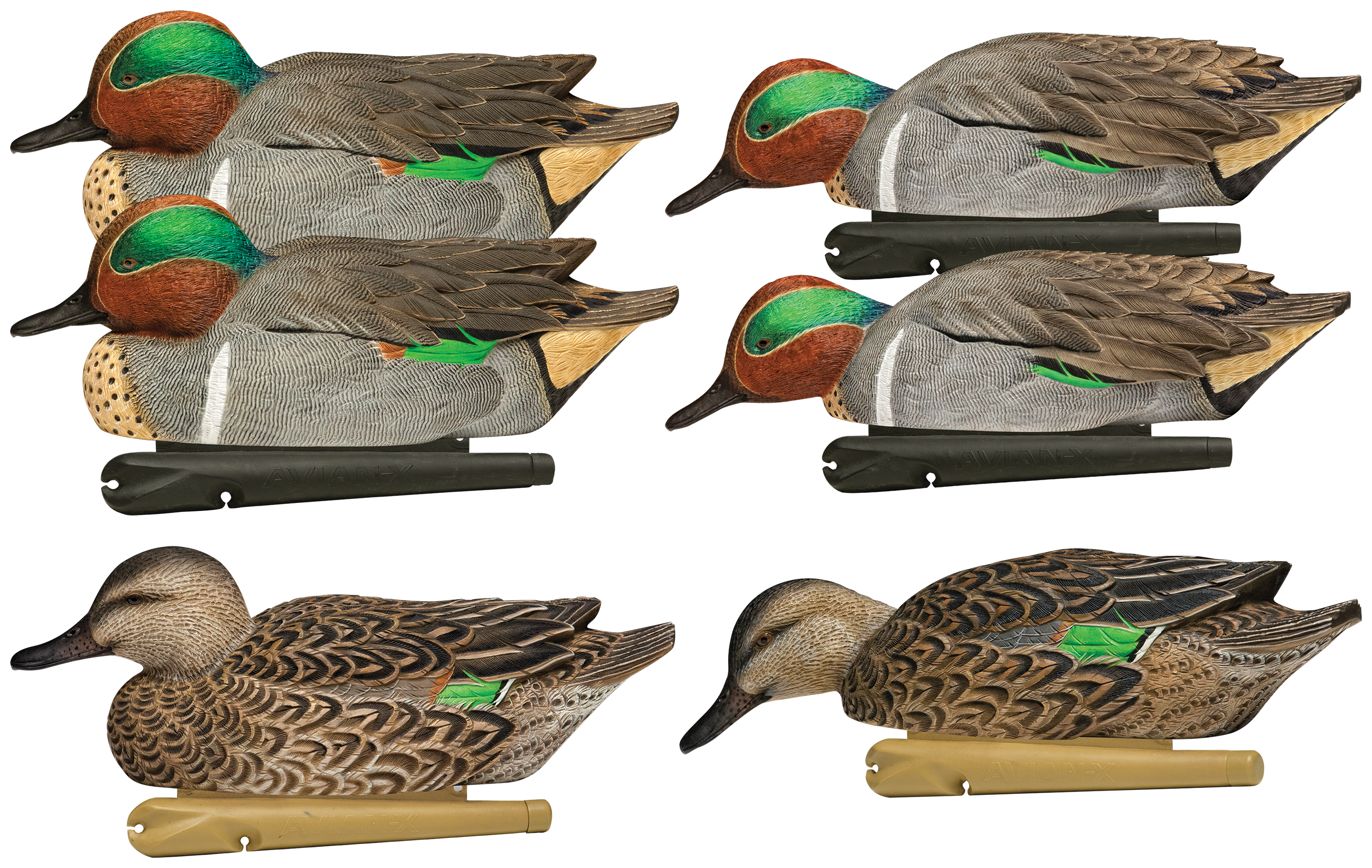 Avian-X Green Winged Teal Duck Decoys – 6-Pack Realism